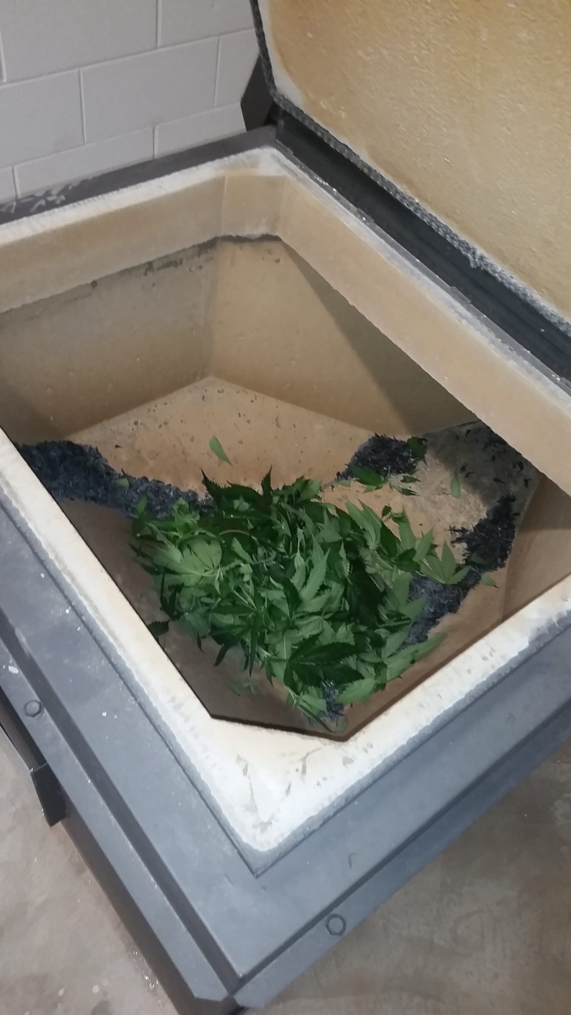 Cannabis Waste Incinerator | Safe & Efficient Disposal Solution